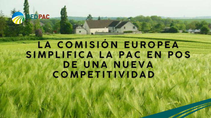 La Comisión Europea simplifica la PAC en pos de una nueva competitividad | Red PAC